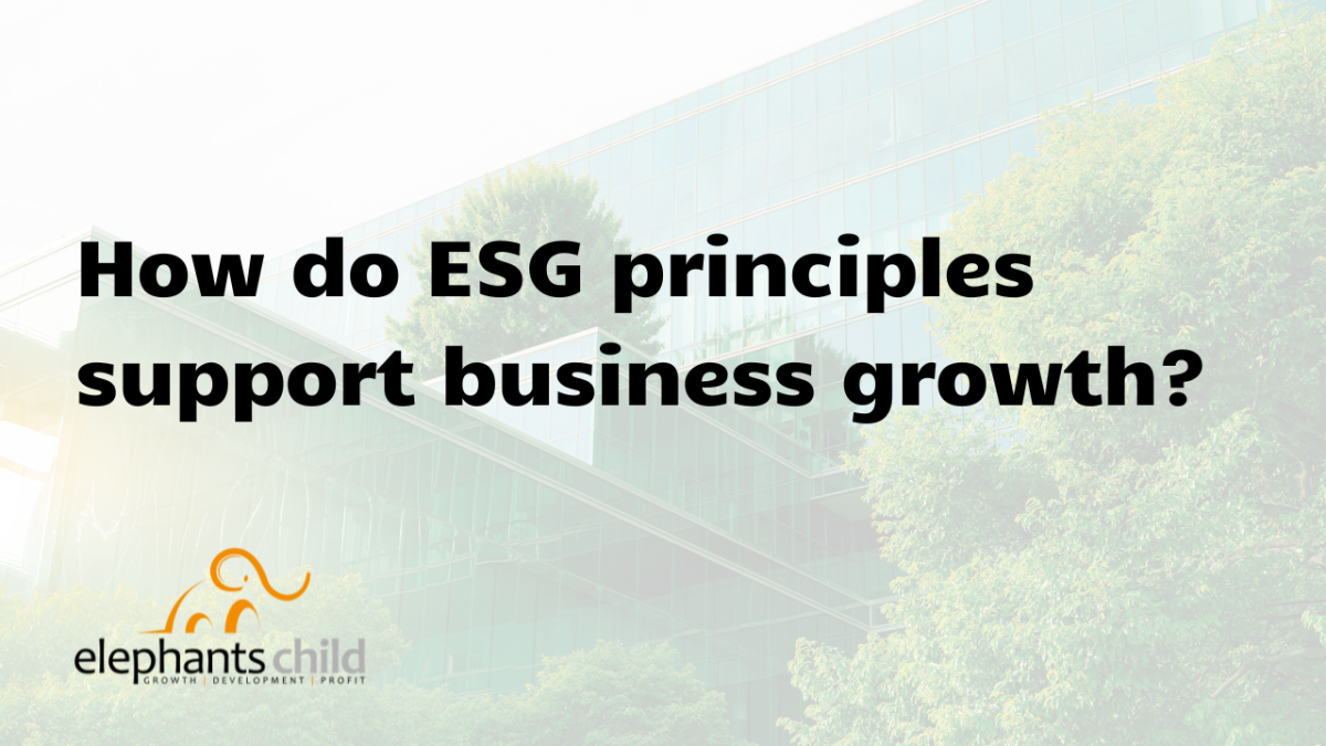 How do ESG principles support business growth? - Elephants Child